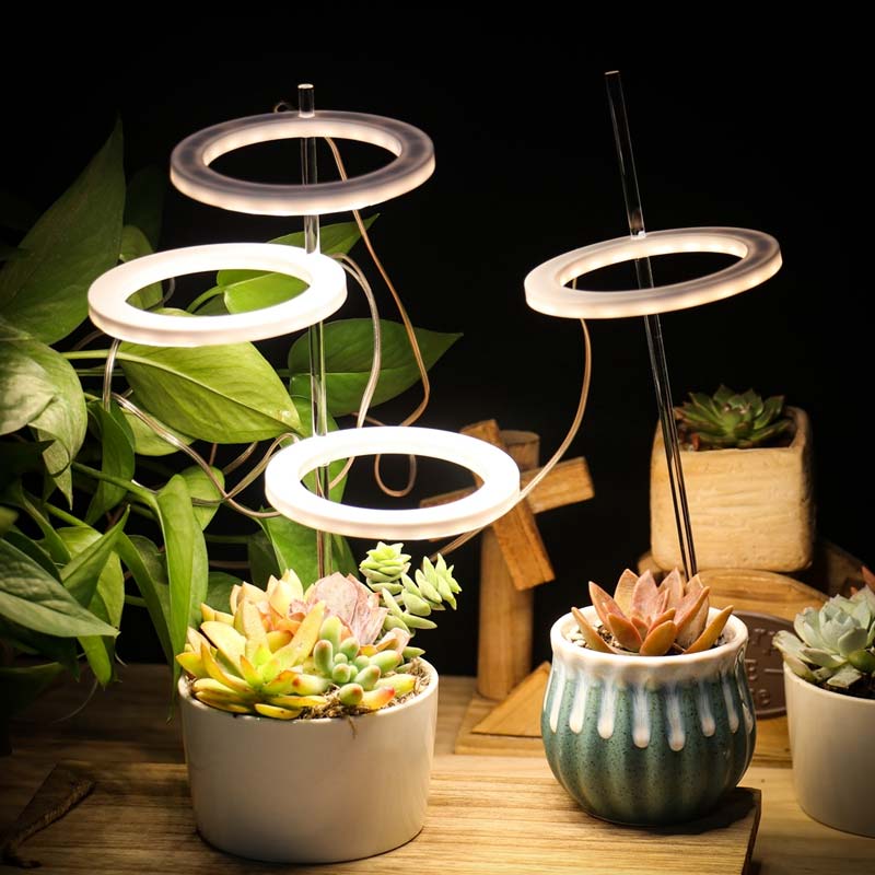 Halo Plant Light™ - Portable LED Grow Light – Hello Cool
